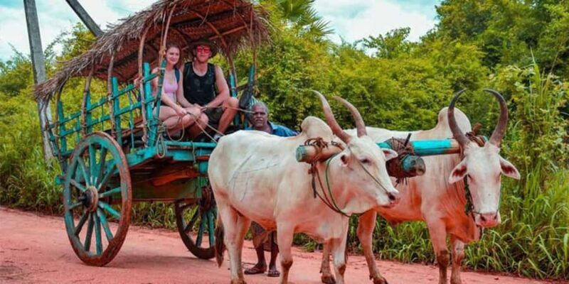 Sigiriya & Dambulla All Inclusive Day Trip - FAQ