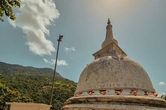 Sigiriya Dambulla and Minneriya Day Tour from Kandy - The Itinerary Breakdown: What to Expect