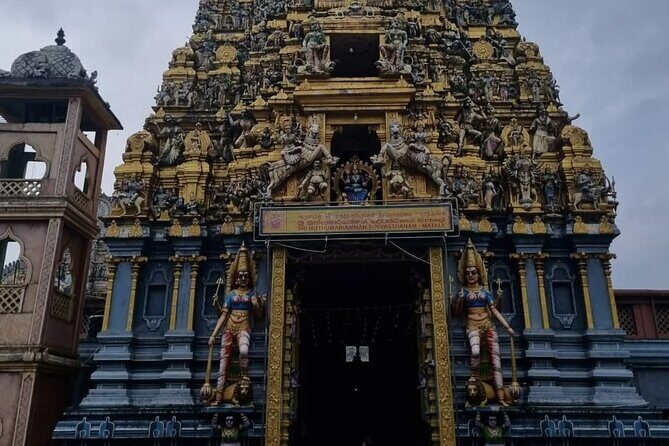 Sigiriya Dambulla and Minneriya Day Tour from Kandy - The Practical Side: Logistics, Value, and Suitability