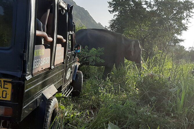 Sigiriya, Dambulla and Minneriya National Park Private Tour In - Key Points