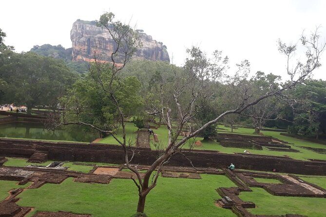 Sigiriya, Dambulla and Minneriya National Park Private Tour In - An In-Depth Look at the Itinerary