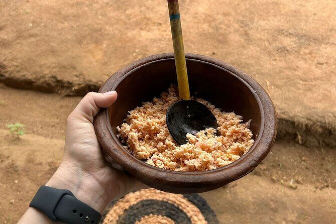Sigiriya & Dambulla City Tour - Who is This Tour Best For?