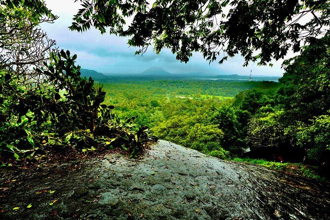 Sigiriya & Dambulla Day Tour from Hotels in Ahungalla/Bentota - Who Would Love This Tour?