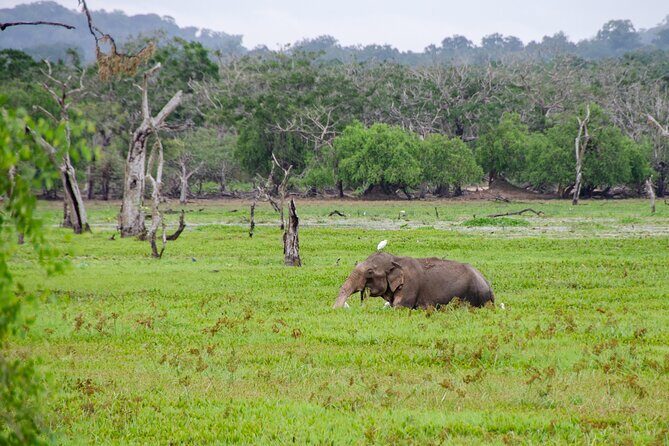 Sigiriya & Dambulla Day Tour From Negombo - Sigiriya: The Iconic Rock Fortress