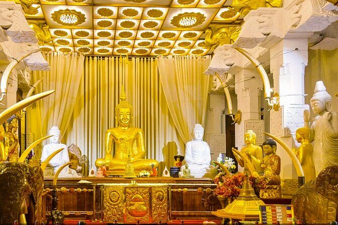 Sigiriya, Dambulla, Safari and Kandy in 3 days - FAQs