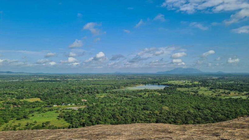 Sigiriya, Dambulla & Safari Day Tour from Colombo - An Overview of the Tour Experience