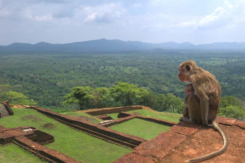 Sigiriya & Dambulla: Tuk Tuk Day Tour - Returning and Final Thoughts