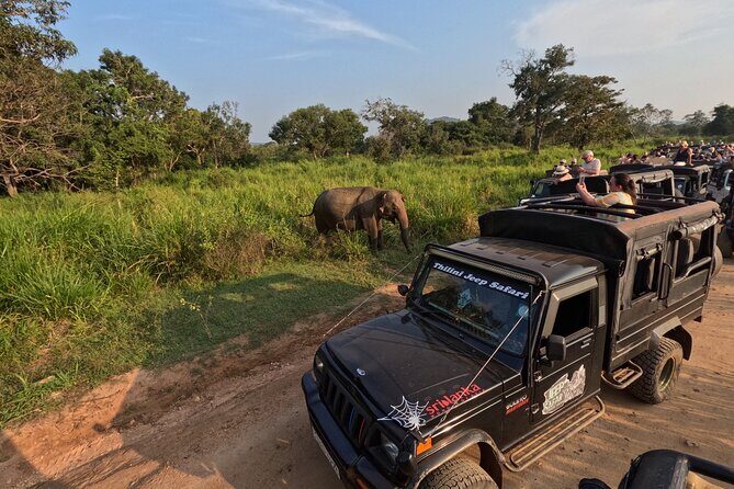 Sigiriya Dambulla Wonders Day Trip from Kandy - Key Points