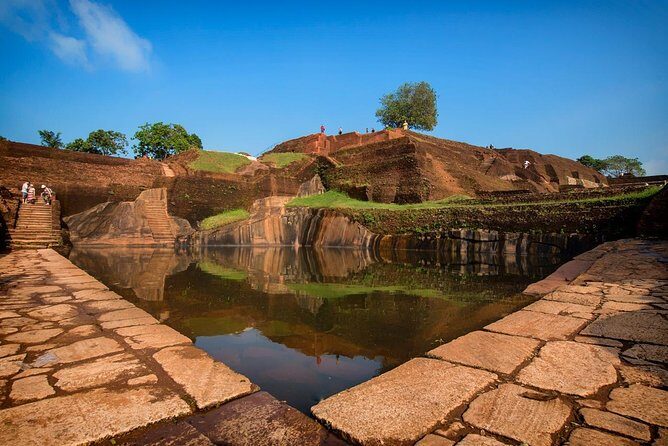 Sigiriya Day Tour from Colombo or Negombo by Private Car / Van - Minneriya National Park Safari