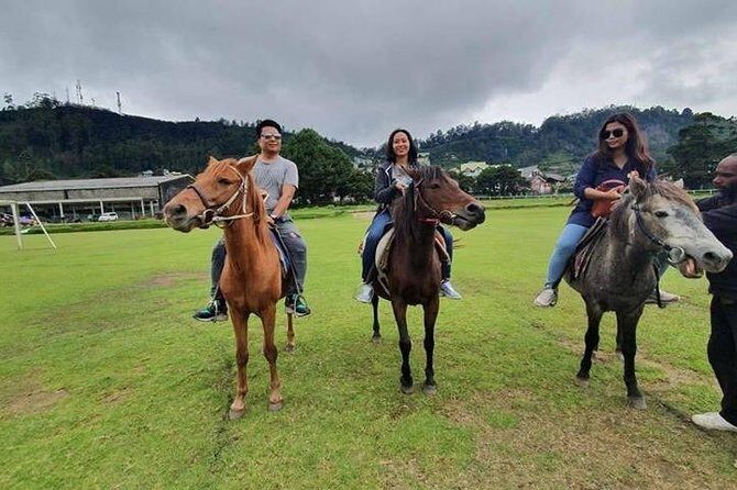Sigiriya Day Tour from Colombo or Negombo by Private Car / Van - FAQ