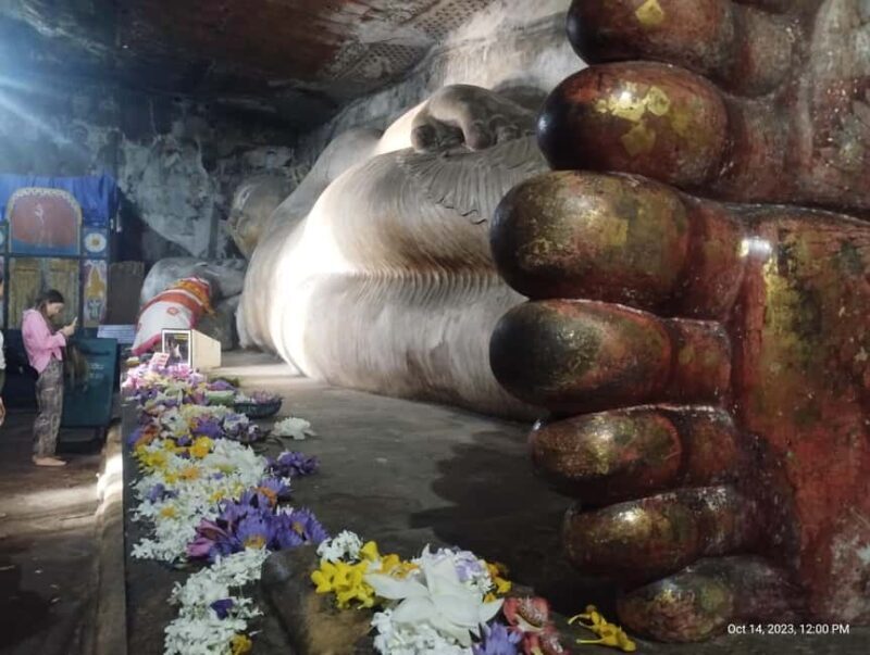 Sigiriya: Day tour from Negombo with hotel transfers - Starting the Day: Hotel Pickup and Journey to Dambulla