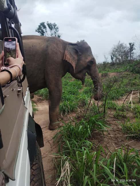 Sigiriya: Day tour from Negombo with hotel transfers - Analyzing the Value