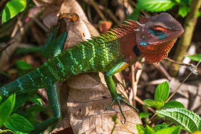Sigiriya Day Tour with all included - Who This Tour Is Perfect For
