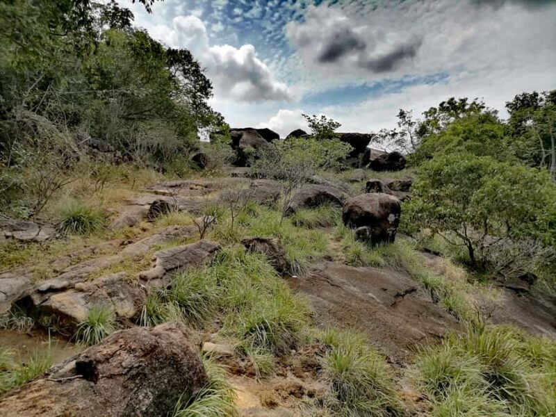 Sigiriya: Dimbulagala/Danigala Guided Hike & Wildlife Safari - An Overview of the Experience