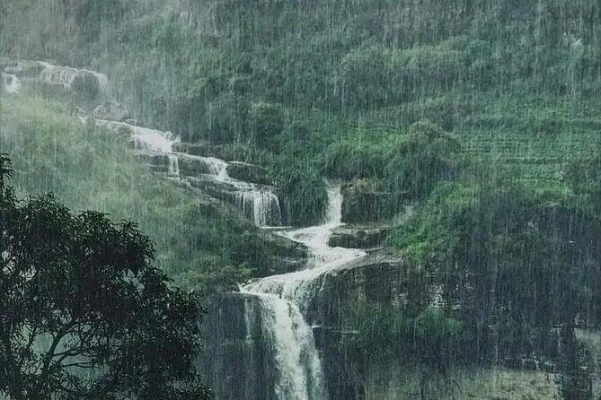 Sigiriya, Elephants & Kandy Day Adventure - A Full Breakdown of the Itinerary