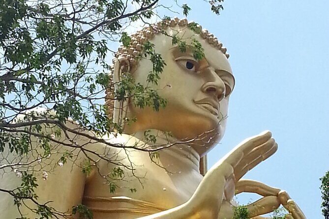 Sigiriya Expedition Uncovers Ancient Marvels - Village Life and Cultural Authenticity