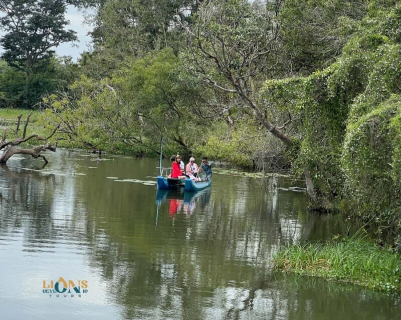 Sigiriya: Habarana Lake Boat Safari & Wildlife Experience - An In-Depth Look at the Tour