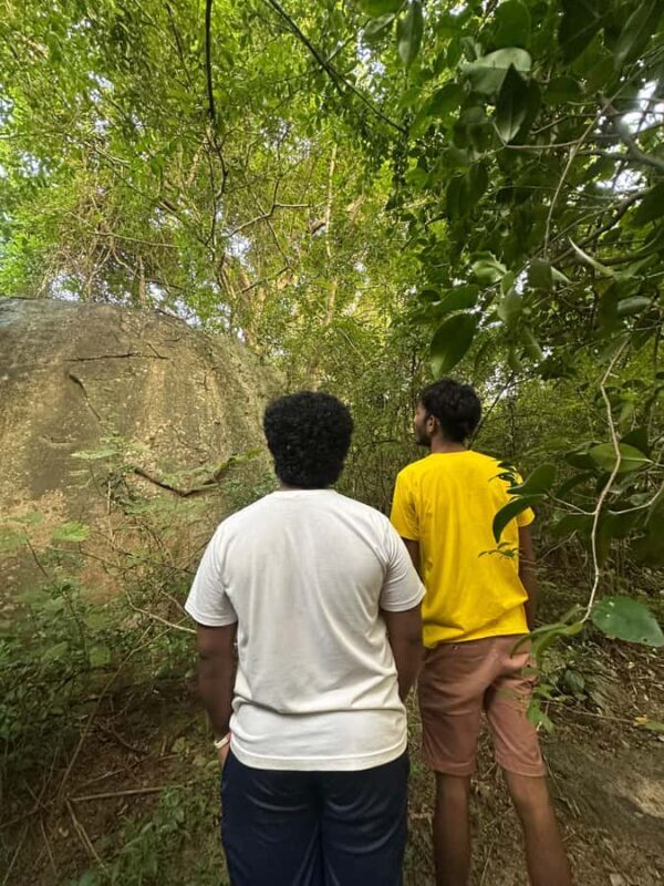 Sigiriya: Jungle Tour with Birdwatching and Wildlife - Key Points