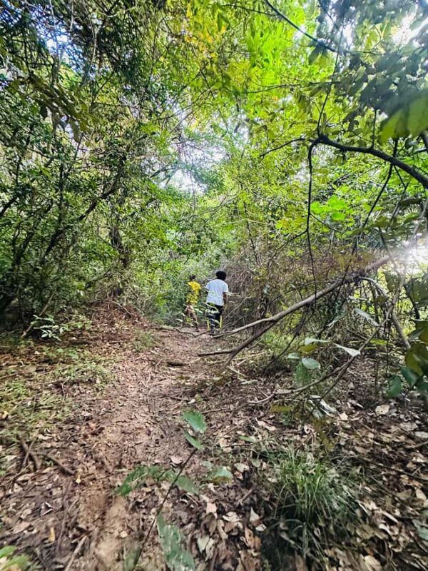 Sigiriya: Jungle Tour with Birdwatching and Wildlife - Exploring the Heart of Sri Lanka’s Forests