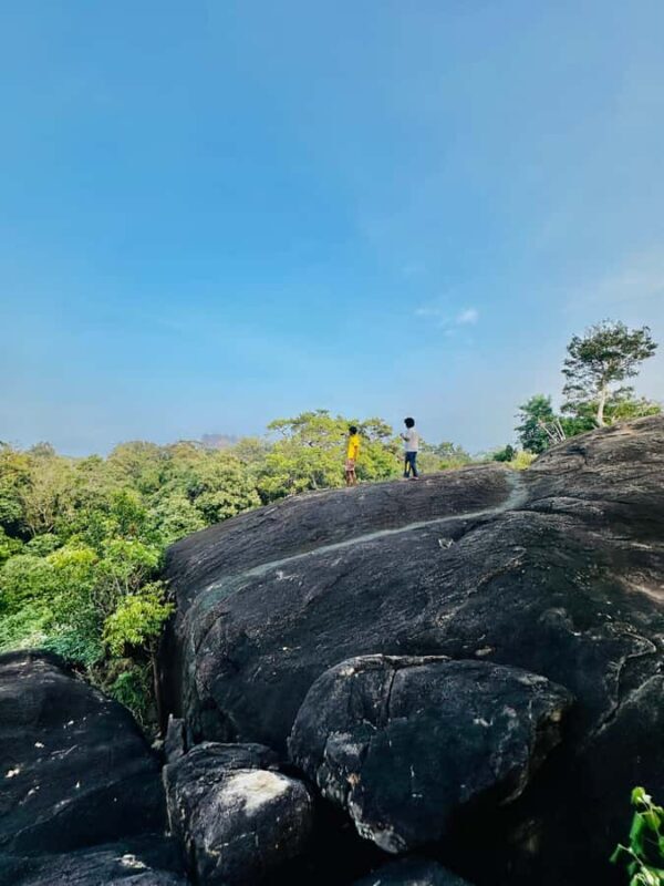 Sigiriya: Jungle Tour with Birdwatching and Wildlife - The Sum Up