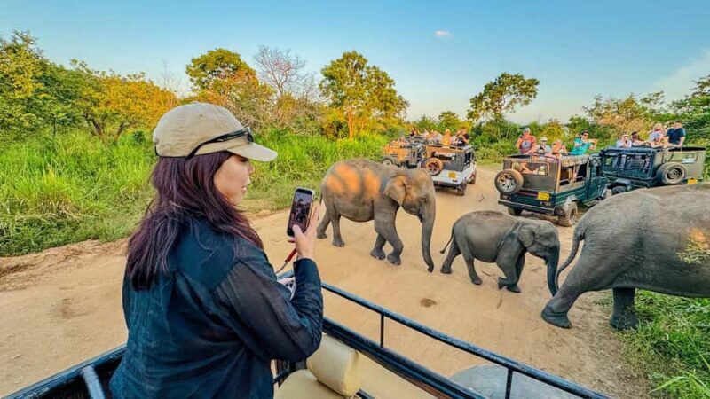 Sigiriya: Lion Rock Hike & Minneriya Safari Day Tour - A Detailed Look at the Sigiriya & Minneriya Day Tour