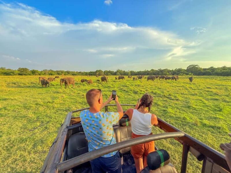 Sigiriya: Lion Rock Hike & Minneriya Safari Day Tour - The Sum Up