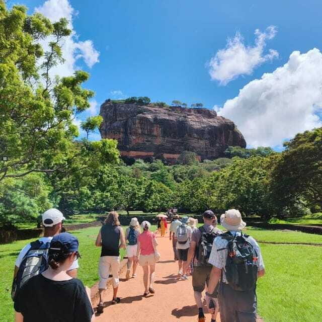Sigiriya: Lion Rock & Minneriya Safari Full Day Private Tour - Key Points