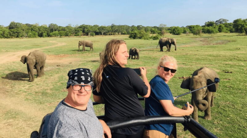 Sigiriya: Lion Rock & Minneriya Safari Full Day Private Tour - Who Will Love This Tour?