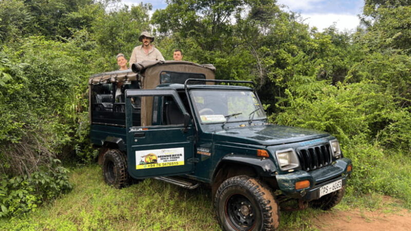 Sigiriya: Lion Rock & Minneriya Safari Full Day Private Tour - Frequently Asked Questions