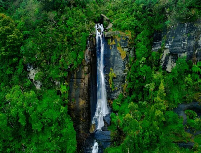 Sigiriya: Nuwara Eliya Day Trip with Tea Factory Visit - Key Points