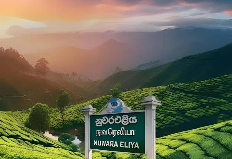 Sigiriya: Nuwara Eliya Day Trip with Tea Factory Visit - Summary: Who Will Love This Trip?