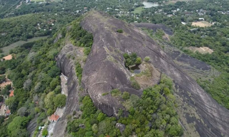 Sigiriya / Pidurangala & Dambulla Caves Tour by Local Expert - Key Points