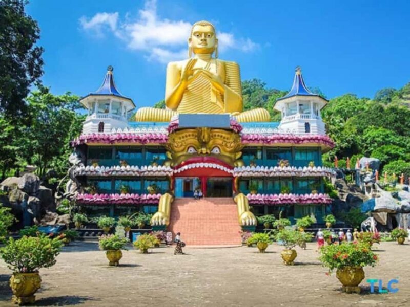 Sigiriya: Ritigala Forest Monastery & Dambulla Temple Tour - Key Points