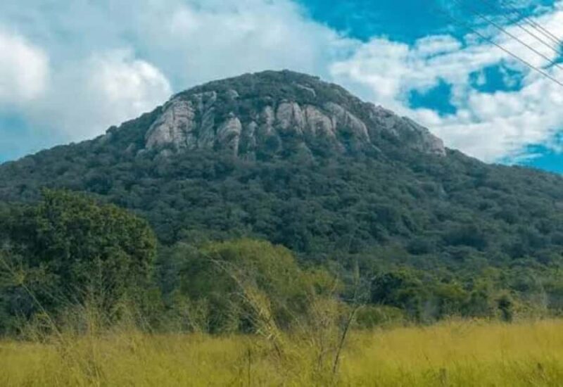 Sigiriya: Ritigala Forest Monastery & Dambulla Temple Tour - Who Will Love This Tour?