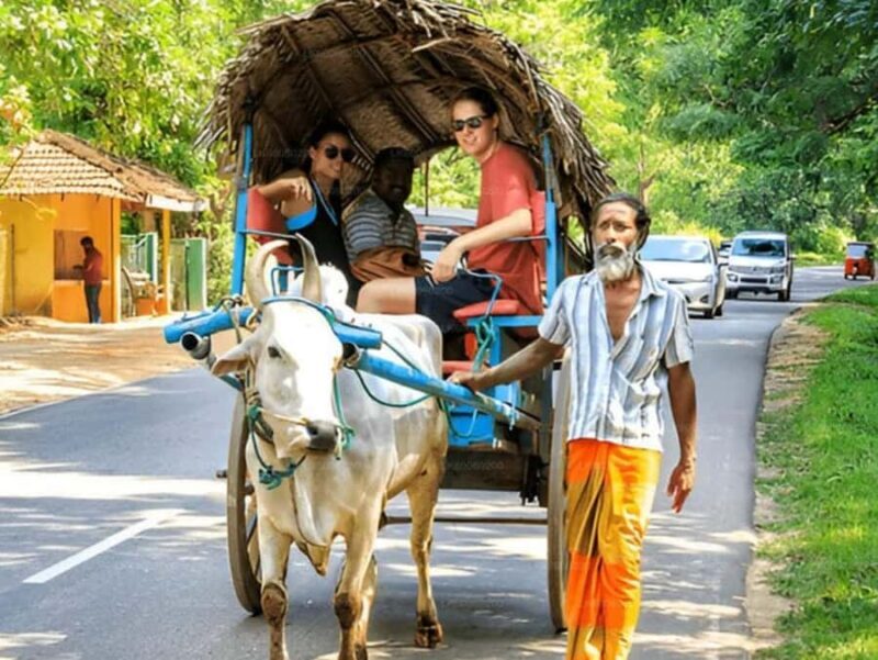 Sigiriya: Ritigala Forest Monastery & Dambulla Temple Tour - FAQs