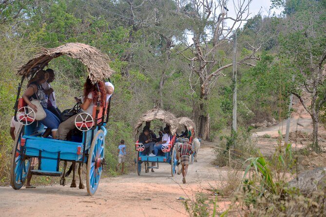 Sigiriya Rock and Countryside from Sigiriya - The Itinerary: A Closer Look at What to Expect