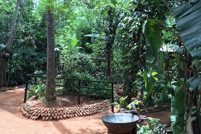 Sigiriya Rock and Dambulla Cave Temple Day Trip from Kalutara - Who Should Consider This Tour?