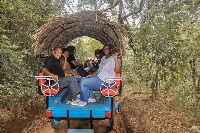 Sigiriya Rock and Village Tour from Colombo - Key Points