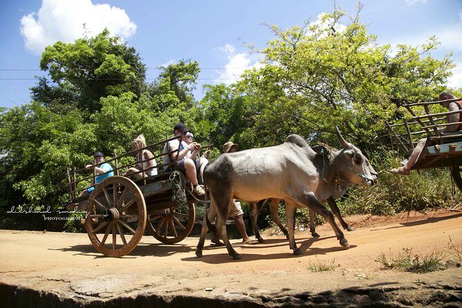 Sigiriya Rock and Village Tour from Colombo - The Sum Up