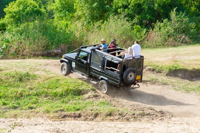 Sigiriya Rock and Wild Elephant Safari from Dambulla - Final Thoughts on Value and Suitability