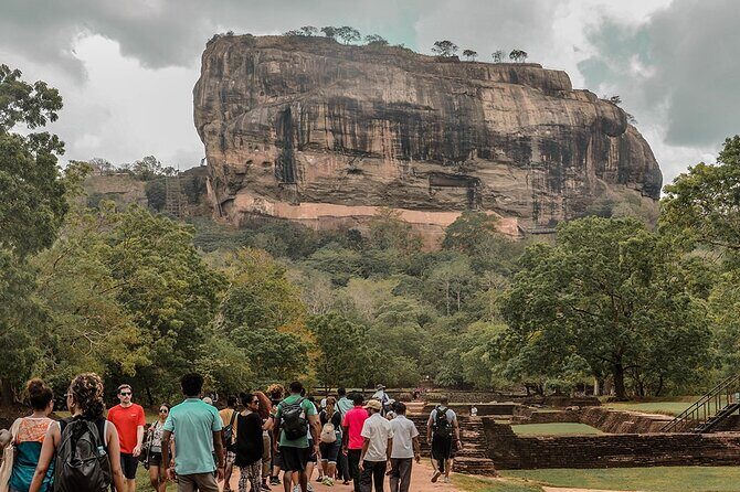 Sigiriya Rock and Wild Elephant Safari from Polonnaruwa - Key Points