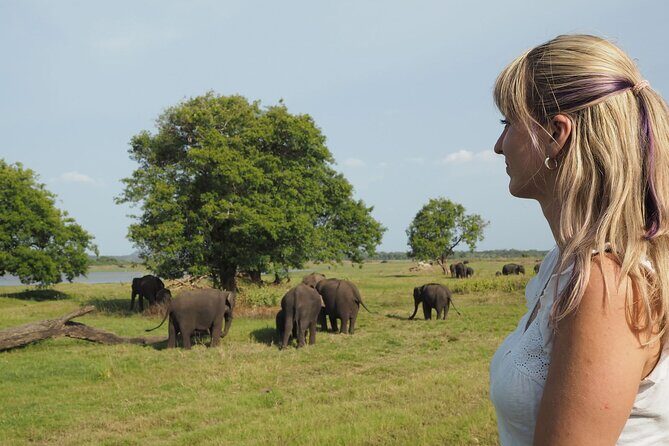 Sigiriya Rock and Wild Elephant Safari from Polonnaruwa - Why This Tour Might Be Perfect for You