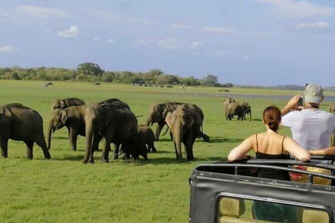 Sigiriya Rock & Cave Temple with Jeep Safari Private Day Trip - Pricing and Value