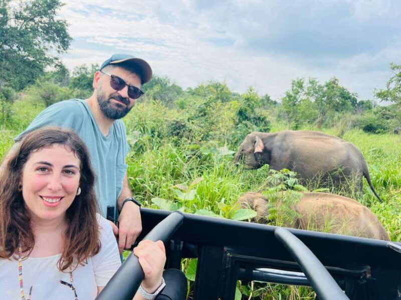 Sigiriya Rock , Dambulla Cave Temple Day Tour from Kandy - Wildlife Safari: Evening Elephant Encounter