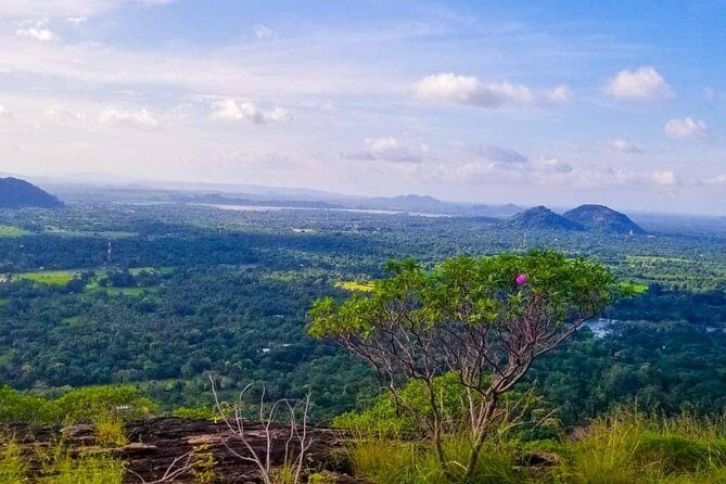 Sigiriya Rock or pidurangala and Polonnaruwa and National Park - Key Points