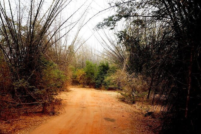 Sigiriya Rock Tour & Minneriya Halfday Safari Tour Sri Lanka - Final Thoughts