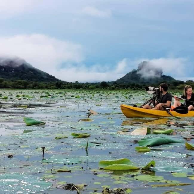 Sigiriya: Sunrise or Sunset Kayaking Tour - Key Points
