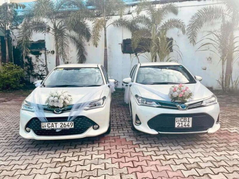 Sigiriya To Kandy Private Transfer: Visit Dambulla Temple - Final Thoughts