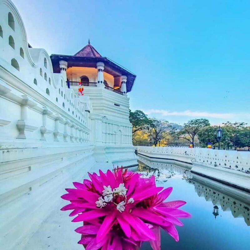 Sigiriya to Kandy Sightseeing Transfer - Key Points