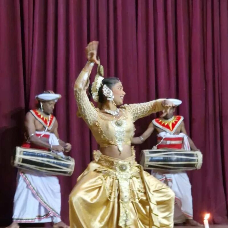 Sigiriya to Kandy Sightseeing Transfer - An In-Depth Look at the Sigiriya to Kandy Sightseeing Transfer